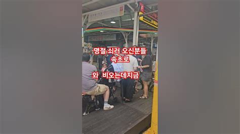 비가 또 오는데 엄청난 인파들 가는곳마다 속초 재래시장shorts Youtube