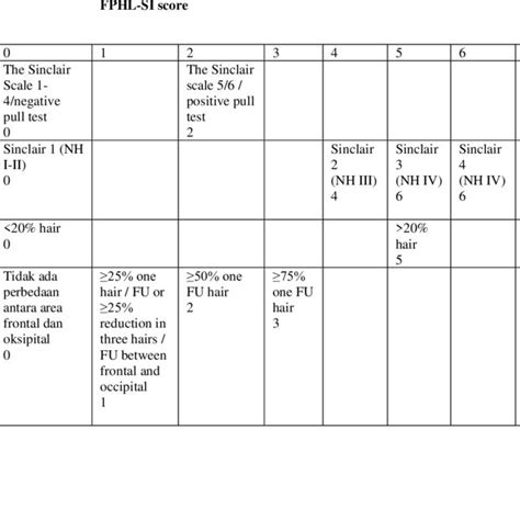 Fphl Si Assessment Sheet Maximum Score Of 20 15 Download Scientific
