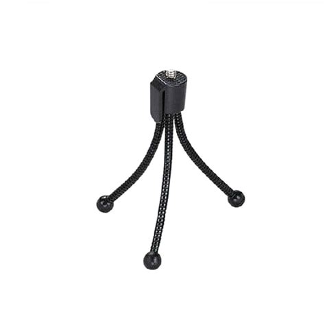 ШИРЭЭНИЙ ЖИЖИГ ХӨЛ