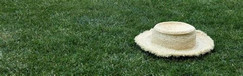 Premium Photo Beach Hat On The Grass In The Park