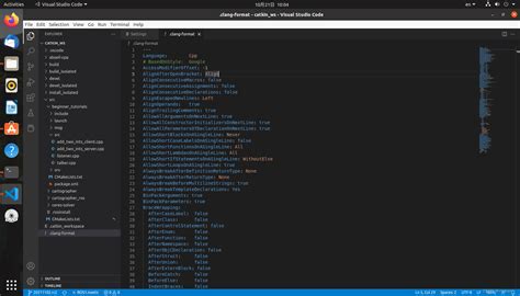 Ubuntu下配置基于 Ros 的 Vscode 开发环境（附代码格式化插件 Clang Format 的配置）vscode代码格式化ubuntu Csdn博客