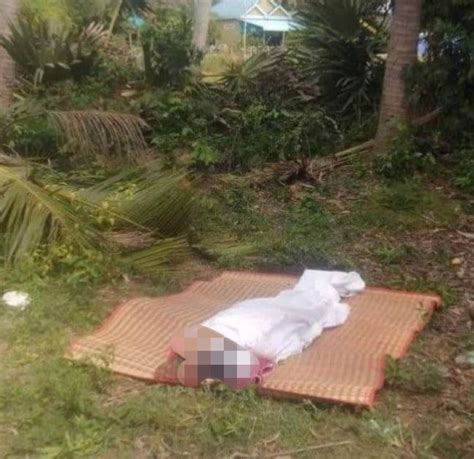 កាប់ដើមត្នោតដួលរលំទៅលើដើមដូងសង្កត់ស្ត្រីម្នាក់ស្លាប់ភ្លាមៗ នគរដ្រេហ្គន