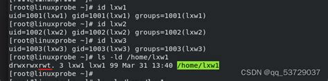 linux学习记录19——文件的特殊权限 如何在linux中设置文件特殊权限 csdn博客