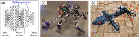 논문 리뷰 Bio Inspired Plastic Neural Networks For Zero Shot Out Of