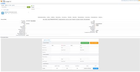 Visualforce How To Embed A Preexisting Vf Page Into A Section Of The Account Page