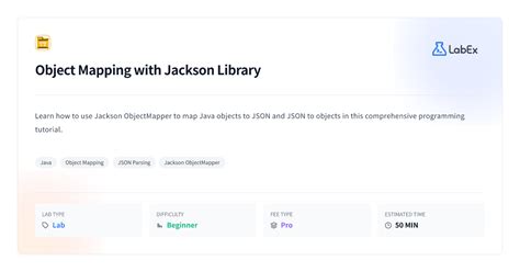 Java Object Mapping Json Parsing Labex