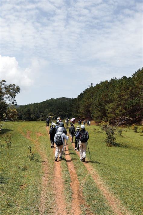 건강한 생활 걷고 있는 경치 경치가 좋은 고요한 환경 구름 그룹 하이킹 그림 같은 길 낮 농촌의 레저 레크리에이션 맑은 공기 모험 방랑벽 부시