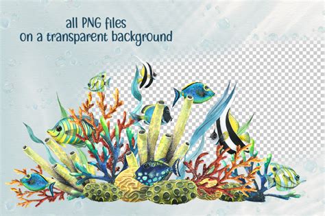 Tropical Fish Watercolor Clipart By Natasha Chu Thehungryjpeg