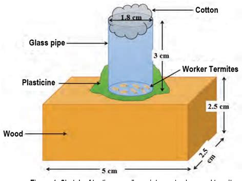 figure 1 from fast growing wood polymer nano composite characteristics