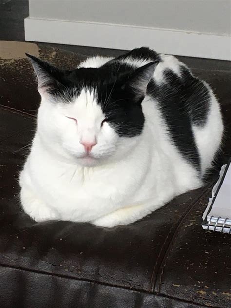 I Made A Rocket Simulator R Pygame