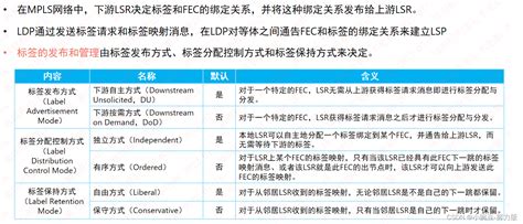 mpls ldp原理与配置 csdn博客