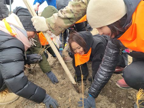 Ногоон Монгол орны хөгжилд хувь нэмрээ оруулж мод тарилаа