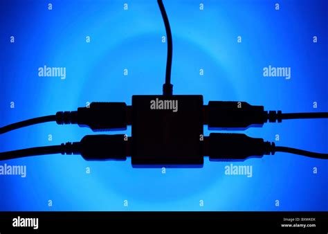 Multiple Usb Socket For Connecting Different Computer Devices Via Usb