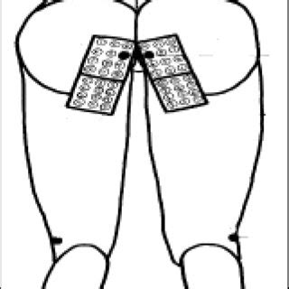 Placing Of The Matrices Download Scientific Diagram