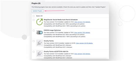 Why Is My WordPress Site So Slow Strategies To Speed It Up White Canvas
