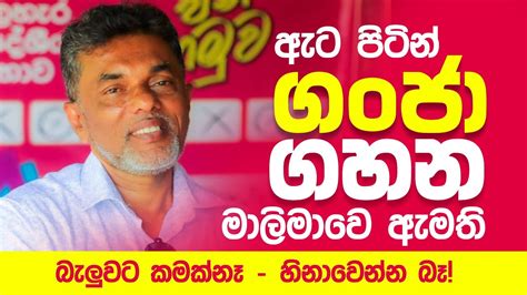 ඇට පිටින් ගංජා ගහන මාලිමාවෙ ඇමති Youtube