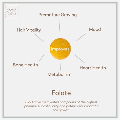 Folate Is A Targeted Ingredient In Lockrx Guard Tablets Which Contain