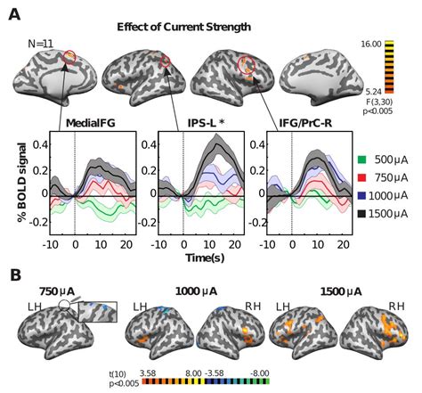 Simultaneous Transcranial Alternating Current Stimulation And