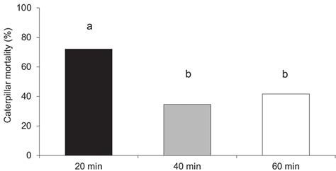 Quantifying Insect Predation In Laboratory Arenas The Effect Of Prey Acclimation