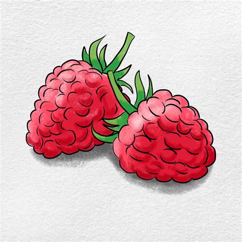 How To Draw A Raspberry