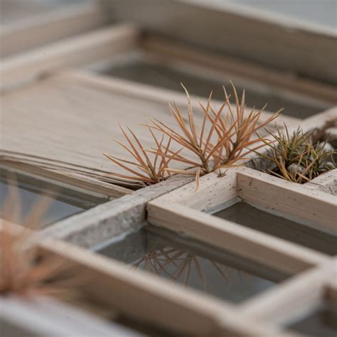 Finite Resources → Term