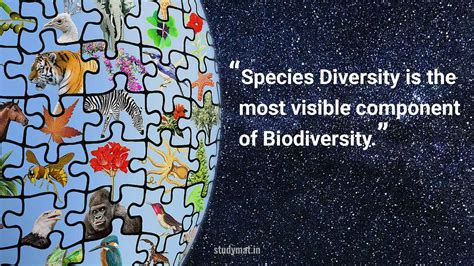 Species Diversity Is The Most Visible Component Of Biodiversity