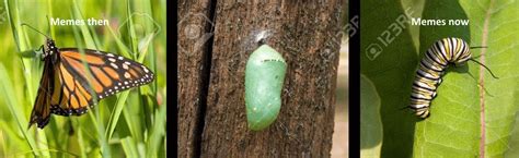 Deep Meme Rdankmemes