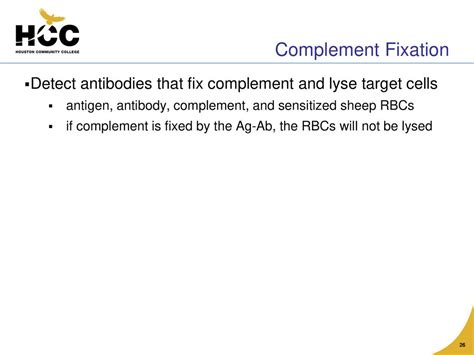 Diagnosing Infections Ppt Download