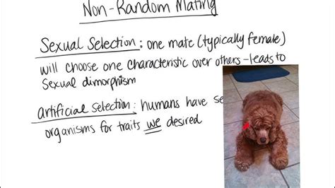 non random mating biology simple