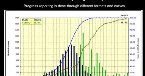 How To Create S Curve In MS Project Software Engineering
