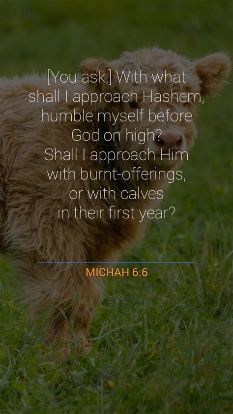 Micah Chapter 6 Daily Holy Bible Reading