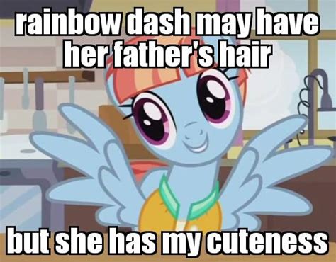Mlp Rainbow Dash Dad