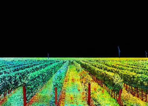 Sensor To Analyse Plant Health British Potato