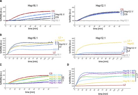 Hsp 161 But Not Hsp 121 Shows In Vitro Chaperone Activity A