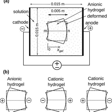 Values Of Electrical Conductivity For The Hydrogel Sample Immersed In