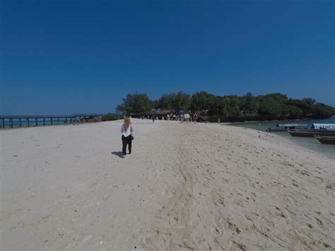 Premium Photo Beach Walk