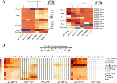 In Silico Gene Expression Analyses A Heatmap Representation And Download Scientific Diagram