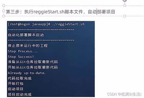 nignx服务器，项目部署和yapi，swagger工具 nginx配置swagger csdn博客