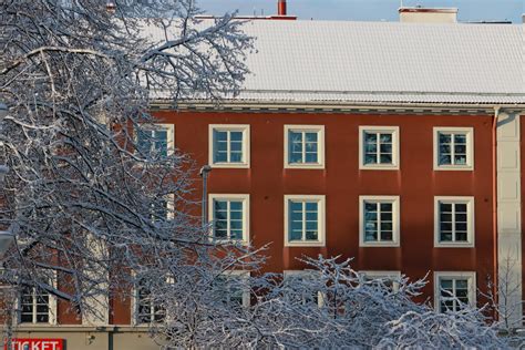 가지 감기 건물 외관 건물 외장 건축 겨울 겨울 빛 겨울 풍경 겨울의 아름다움 겨울의 태양 겨울철의 계절 계절성 계절의 아름다움 기숙사 창문 나무