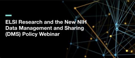 Elsihub Cera On Linkedin Elsi