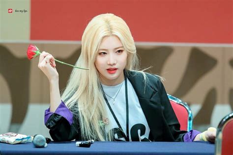 LOONA conheça as integrantes do seu novo grupo preferido LETRAS MUS BR