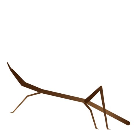 Phasmatodea Generic Flat Gradient Icon