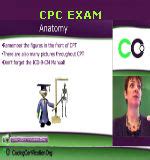 CPC Exam Medical Terminology Basics Part 2 Video