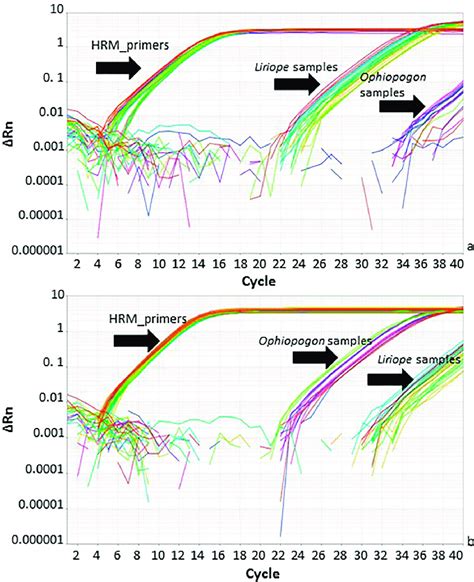 Real Time Pcr Amplification Using Ophiopogon Specific Liriope Specific