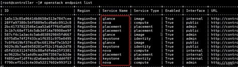 Ntroller部署nova服务nova Admin Csdn博客