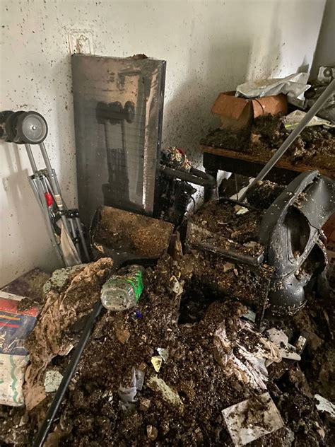 杨瑾6060 Yangjin6060 Twitter