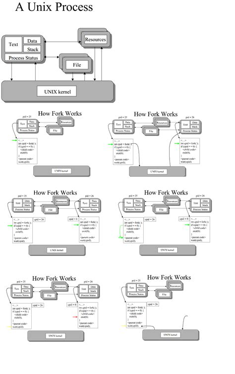 C Differences Between Fork And Exec Stack Overflow