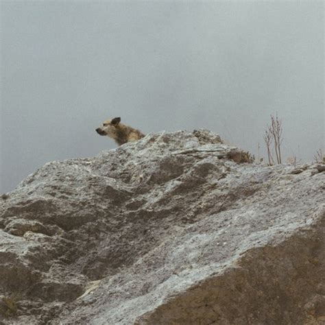 Stream Sentinel Pass Music Listen To Songs Albums Playlists For Free On Soundcloud