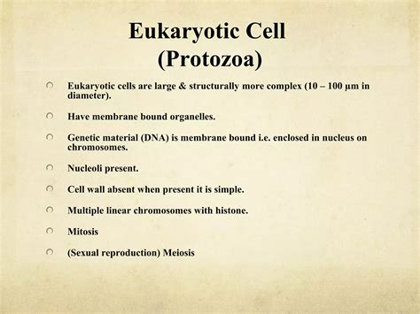 Anatomy Of Protozoans Ppt