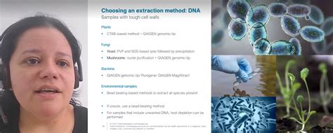 London Calling 2023 Opens With A Full Day Of Masterclasses Delivered By In House Nanopore